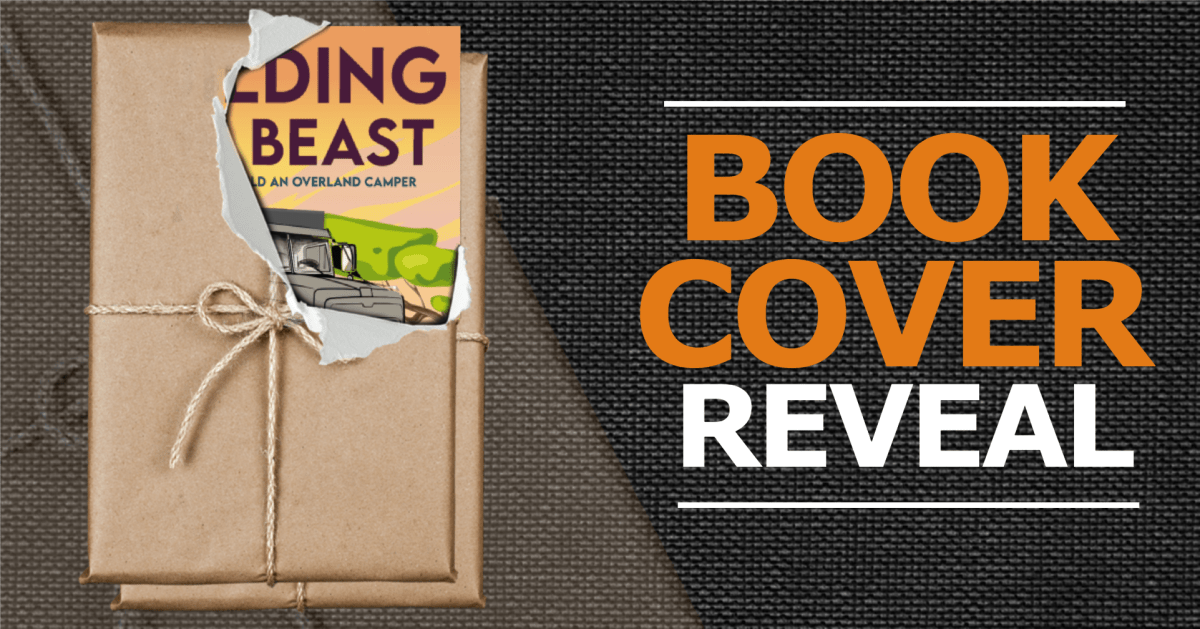 what goes into a book launch campaign? – Jacqueline Lambert