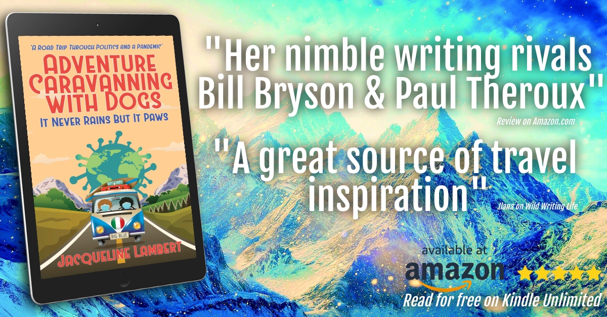 it never rains but it paws: a road trip through politics and a pandemic ...