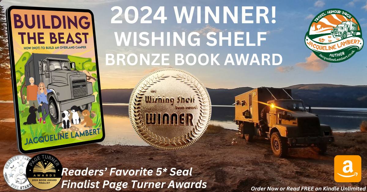 Comic Memoir ‘Building The Beast’ wins bronze in the wishing shelf book ...